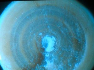 The Gem & Pearl Lab - Pearl & Gem Identification